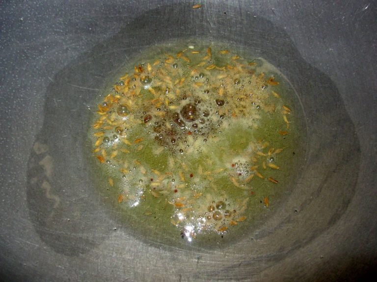 SABUDANA KHICHDI RECIPE / SAGO KHICHDI / SABAKKI UPMA