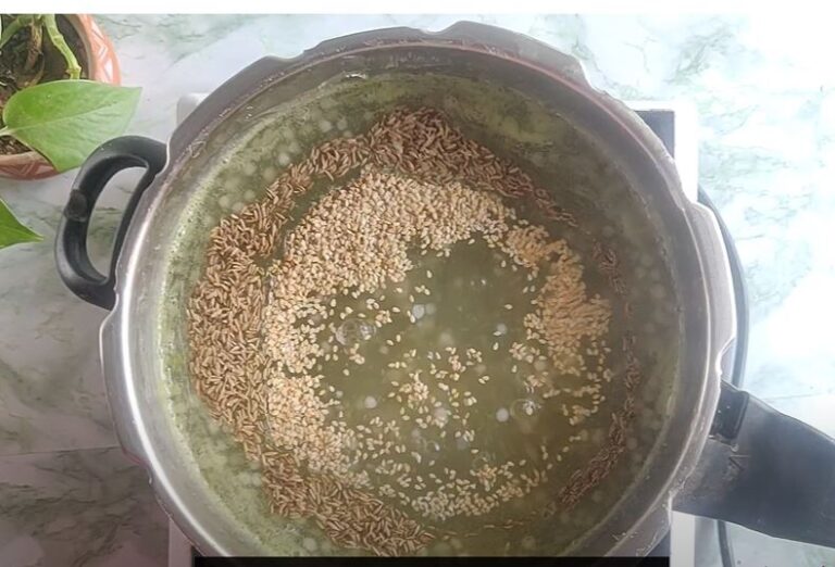 SABAKKI SANDIGE /SAGO PAPAD / JAVVARISI VADAM Recipe