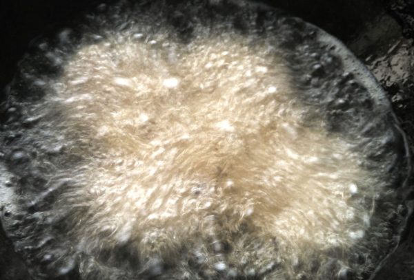 SABUDANA VADA RECIPE / SABAKKI VADA / SAGO VADA RECIPE | Cook With Smile