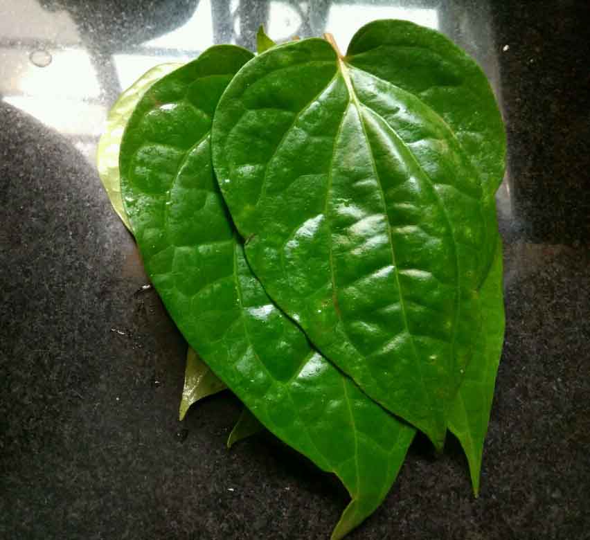 BETEL LEAVES RASAM RECIPE / VETHALAI RASAM - BETEL LEAVES RECIPES ...