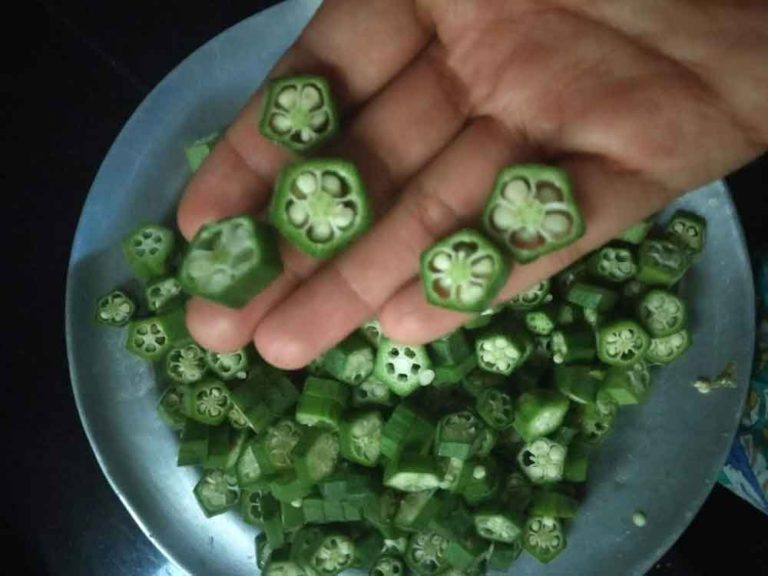 BENDEKAYI GOJJU RECIPE / BENDEKAI KAYIRASA / KARNATAKA STYLE BHINDI ...