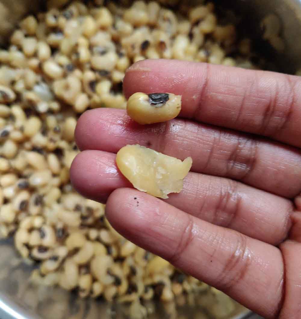 ALASANDE KALU GASI /BLACK EYED PEAS ( LOBIA) CURRY / GASSI RECIPE ...