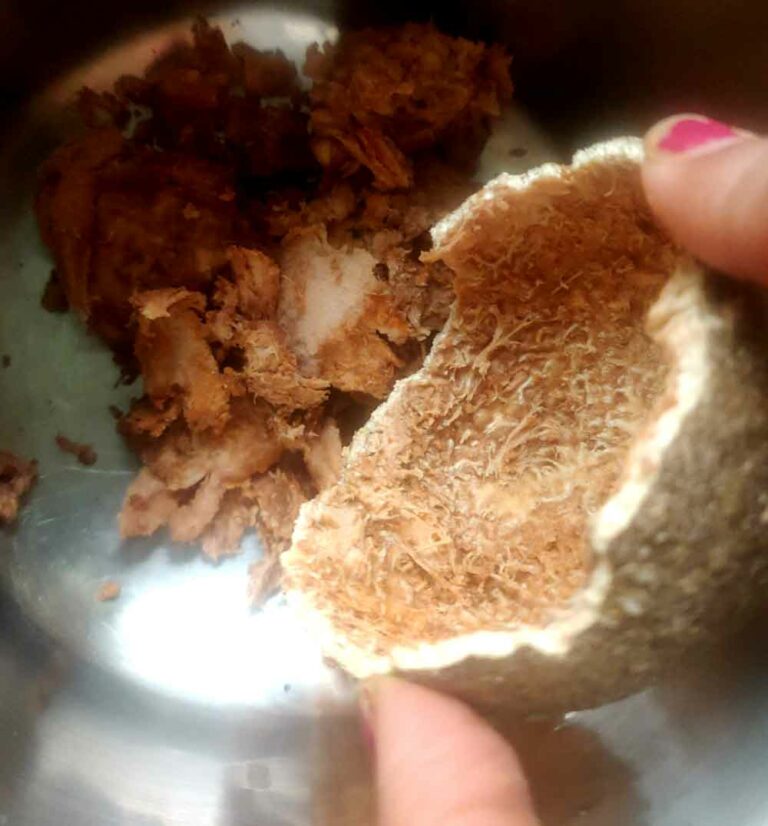 BELADA HANNINA PANAKA / WOOD APPLE JUICE / BAEL SHARBAT - Cook with Smile