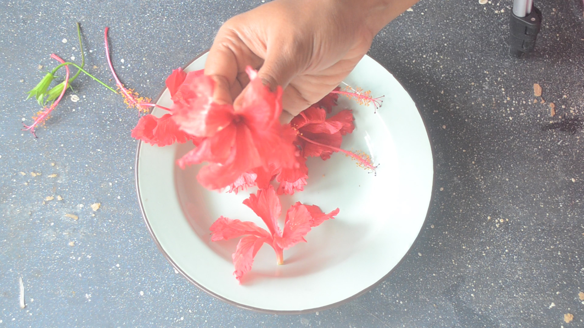 HIBISCUS TEA RECIPE / HIBISCUS DRINK - Cook with Smile