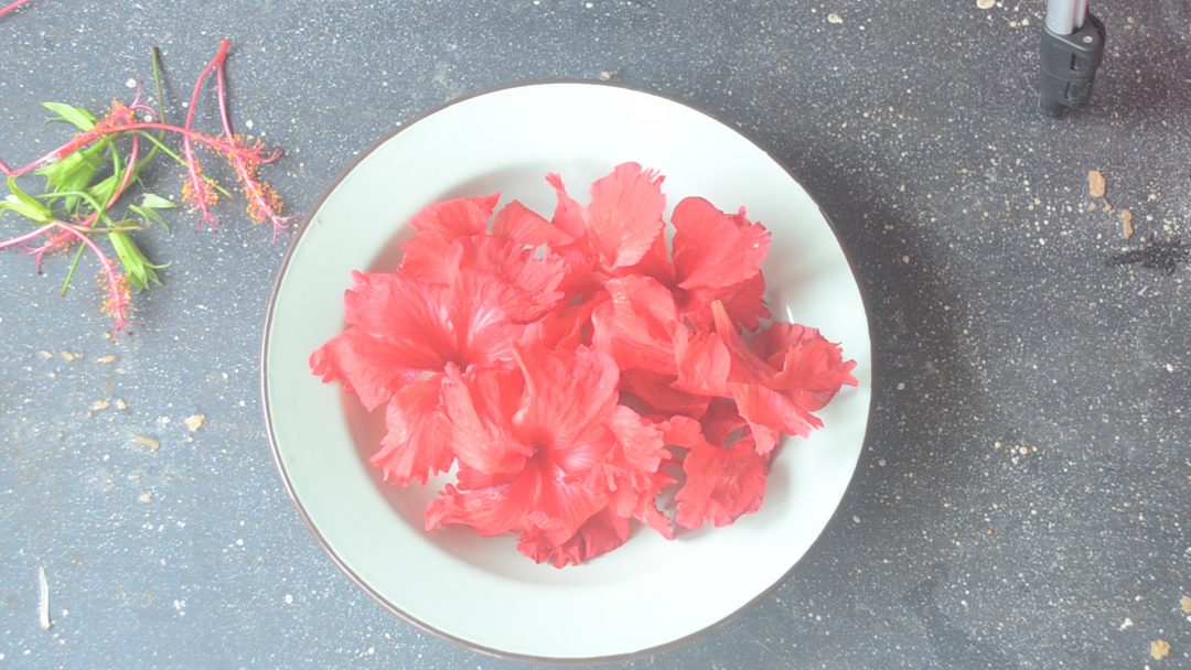 HIBISCUS TEA RECIPE / HIBISCUS DRINK - Cook with Smile