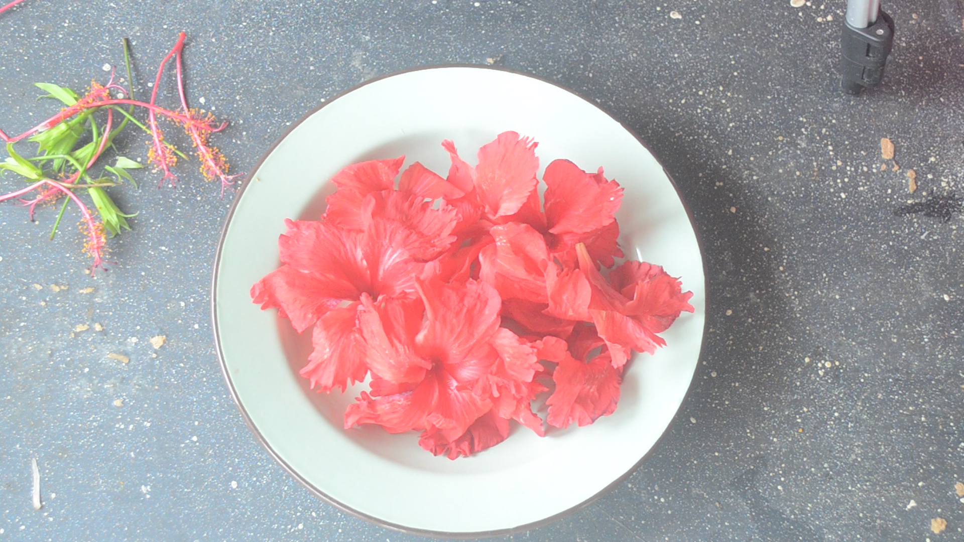 HIBISCUS TEA RECIPE / HIBISCUS DRINK - Cook with Smile