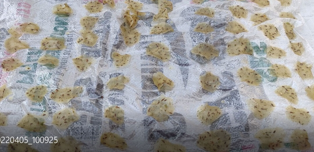 RAVE SANDIGE | RAVA PAPAD | EASY PAPAD RECIPE - Cook with Smile